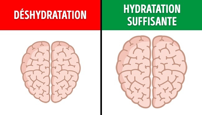 Voici comment vous influencez votre cerveau avec des habitudes du ...