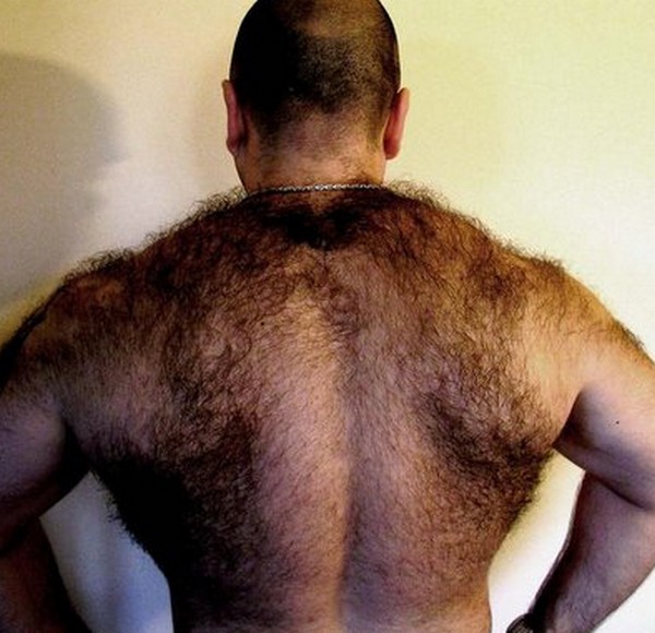 Retrouvez notre sélection des 30 dos les plus poilus que vous n'ayez jamais vu.